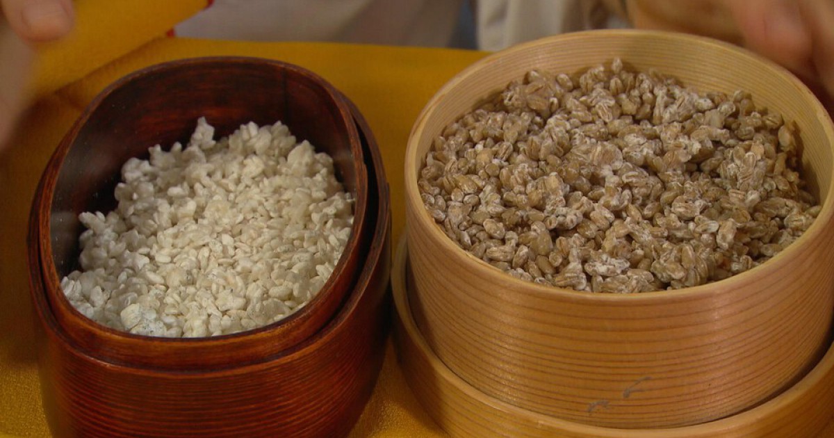 Miso in Rotterdam | BinnensteBuiten