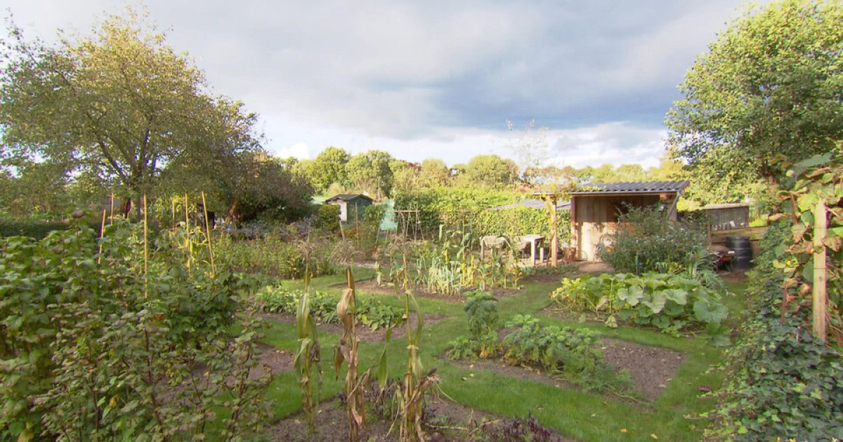 Naardense moestuin | BinnensteBuiten