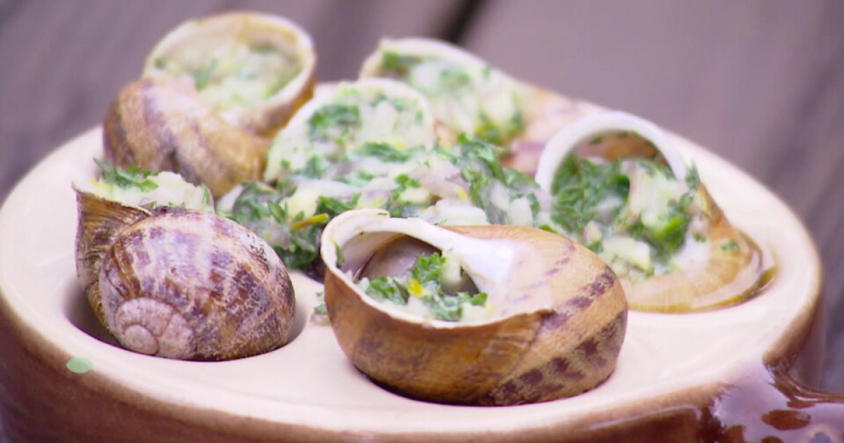 Slakken | BinnensteBuiten