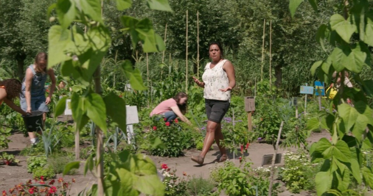 Tot rust komen in de vrouwenmoestuin in Amsterdam ZO | BinnensteBuiten