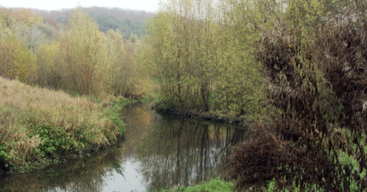 Rust en stilte in de Limburgse natuur | BinnensteBuiten
