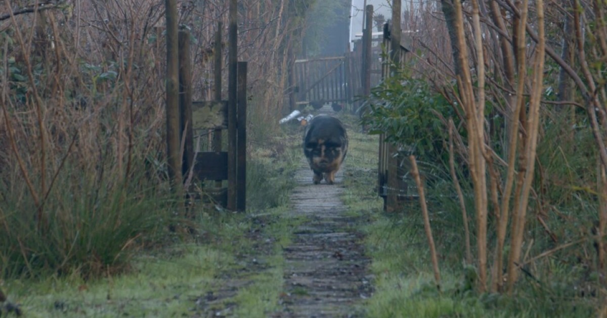 17 januari 2023 | BinnensteBuiten