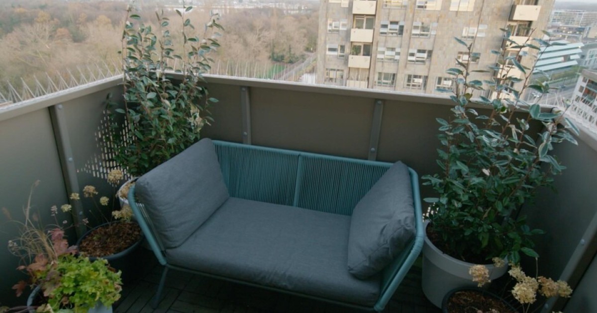 Deze planten zijn ideaal voor een winderig balkon | BinnensteBuiten