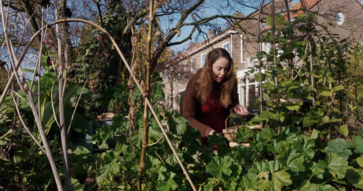 Een kerstkadootje uit de tuin van Anne Wieggers | BinnensteBuiten