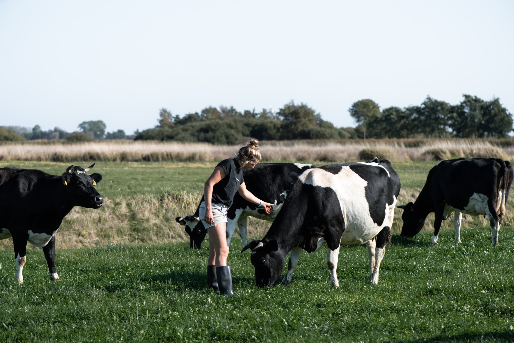 Friese girlpower op een biodynamische boerderij | BinnensteBuiten