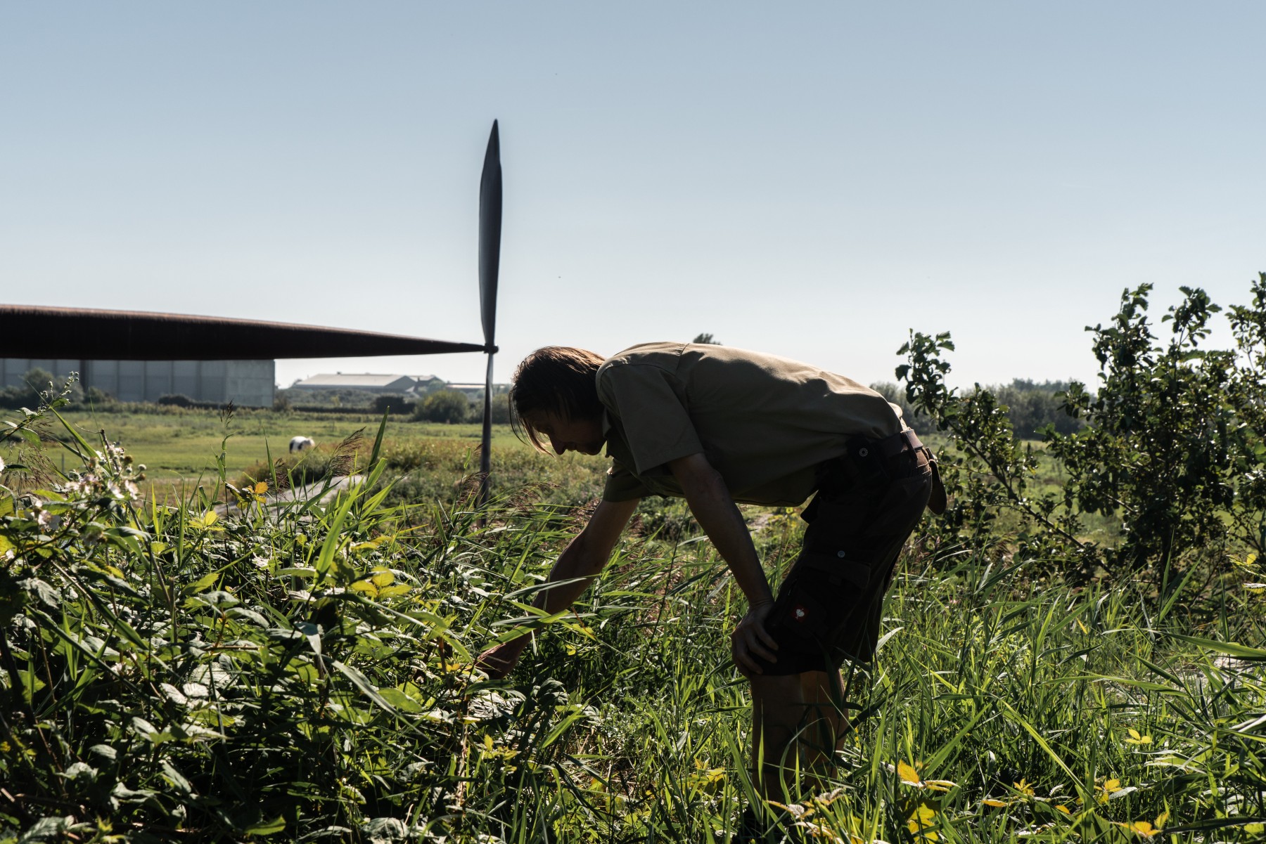 Bijzondere beeldentuin De Nollen in Den Helder | BinnensteBuiten