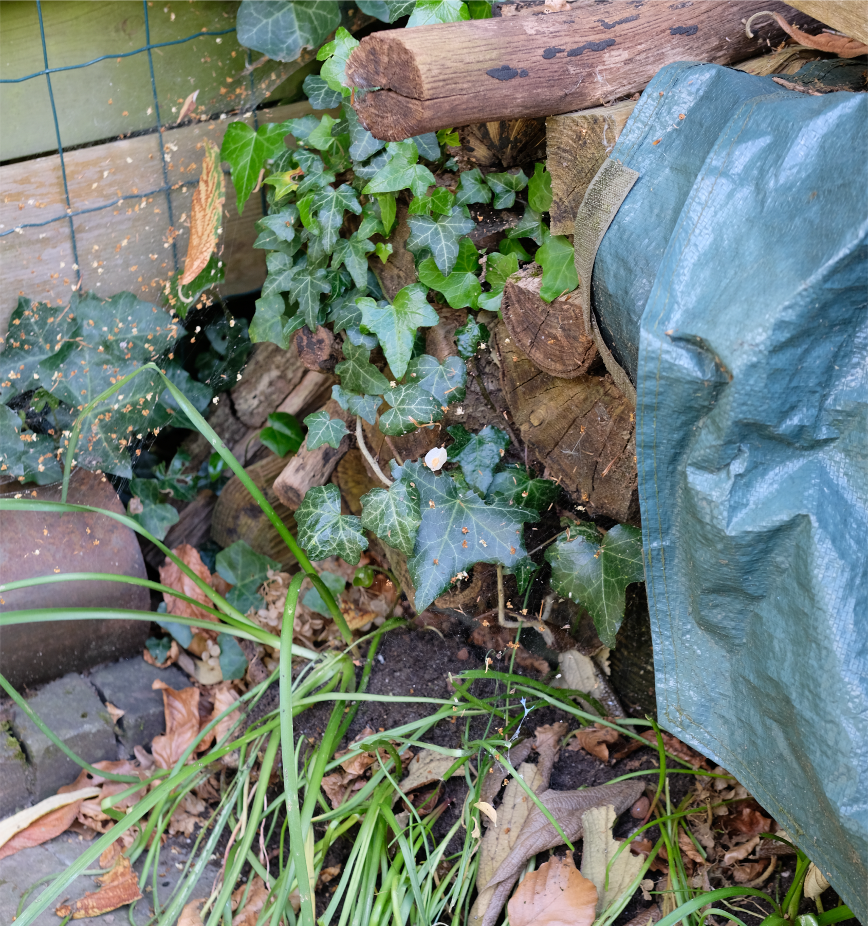 Met dit zelfgemaakte insectenhotel trek jij insecten naar de tuin ...