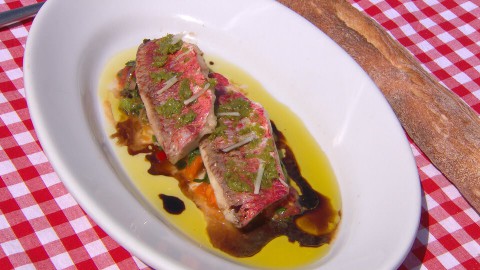 Rode mul met antiboise | BinnensteBuiten